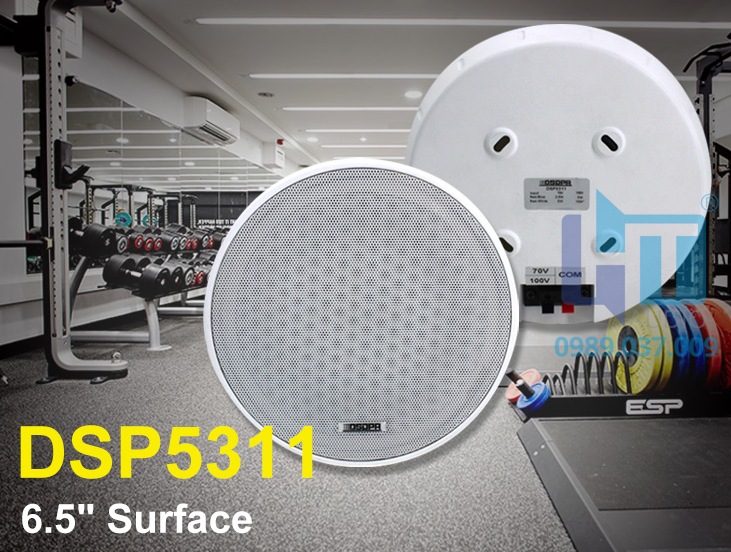 DSP5311 Loa gắn trần nổi chống cháy 10W - HATHANG AUDIO - HÀ THẮNG SOUND COMPANY